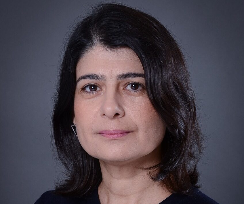 ENTREVISTA: Flávia Constant, diretora-presidente da Fundação Vale - ZÉ DUDU