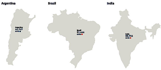 Programa de agricultura regenerativa da ADM no Brasil, espera cultivar ...